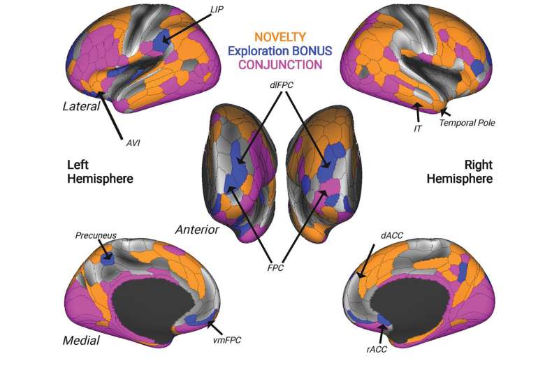 Explore or exploit: How our brains make choices – Cognition & Commerce.